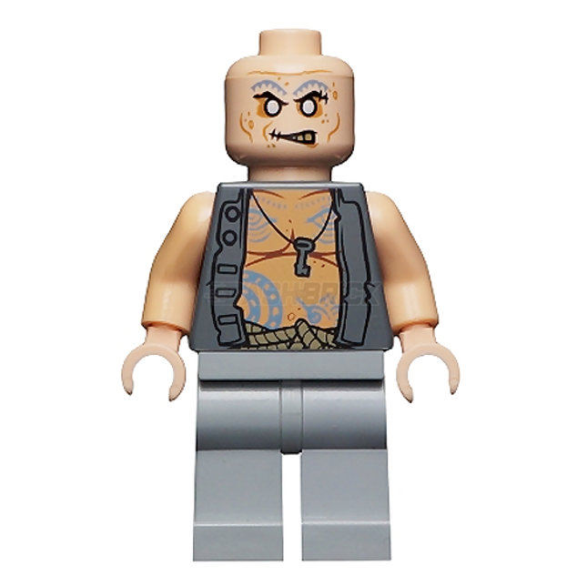 Disney® – DASHBRICK